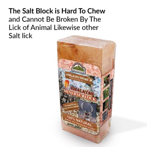 100% Natural Himalayan Rock Deer Salt Block Review | Himalayan's Finest ...